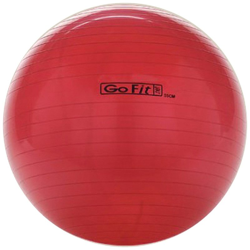 Gofit Exercise Ball 55cm With Pump And Instructional Poster | Exercise ...