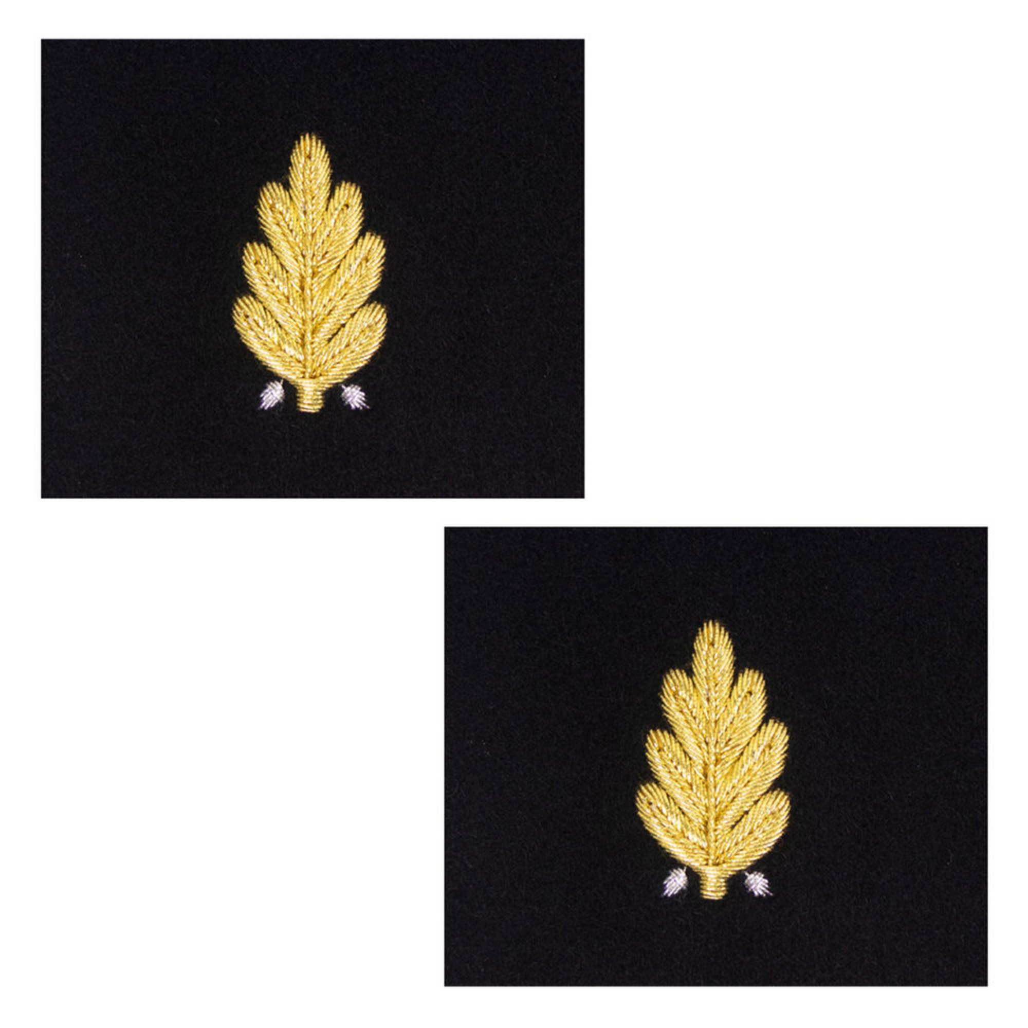 Sleeve Device In Gold On Blue For Dental Corps | Sleeve Devices & Lace ...