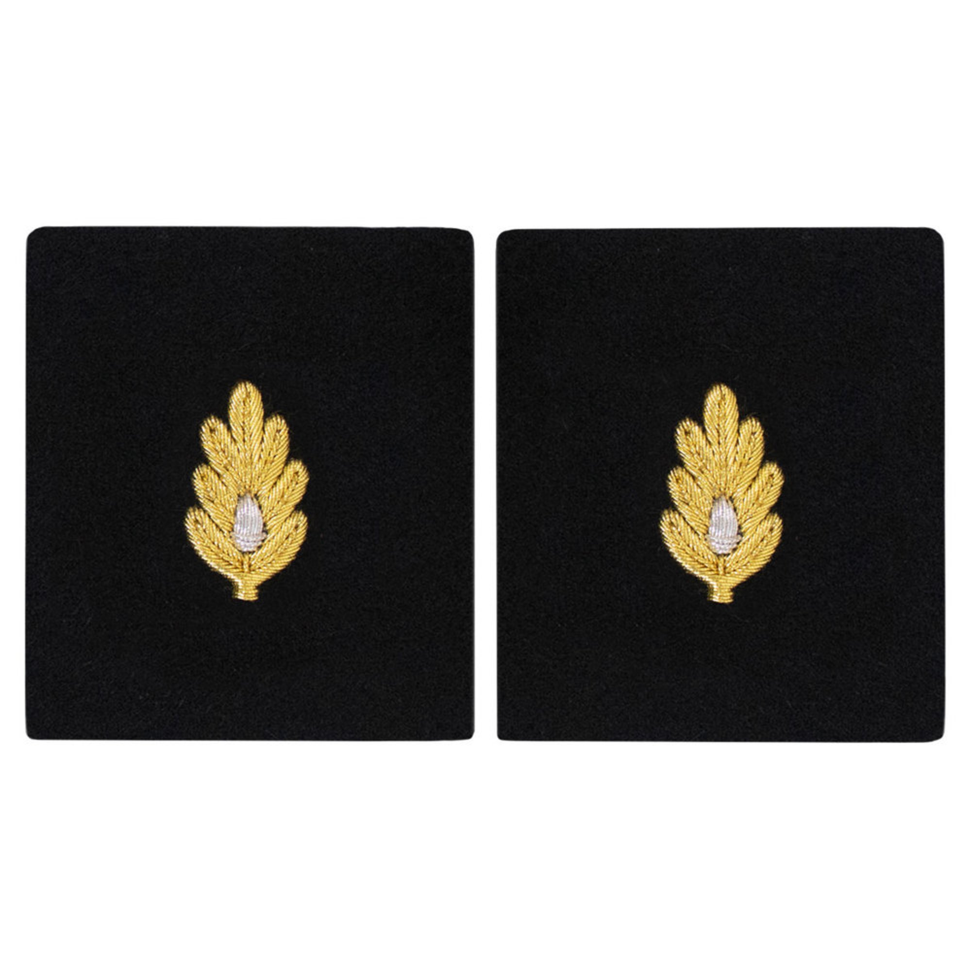 Sleeve Device In Gold On Blue For Medical Corps | Sleeve Devices & Lace ...