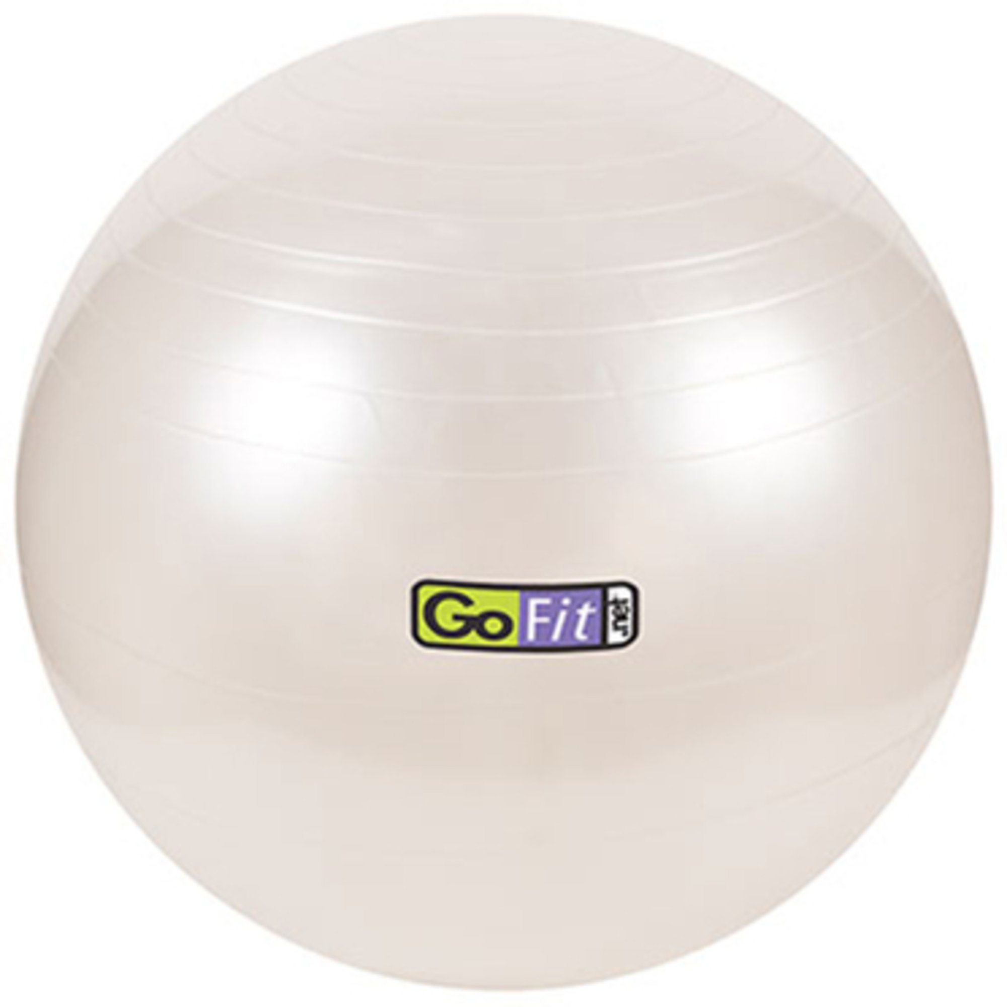 Gofit Stability Exercise Ball With Pump & Exercise Poster | Exercise ...
